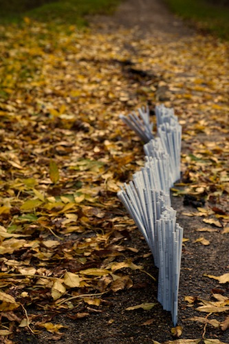 pavement crack rods 27 – Anna Berry